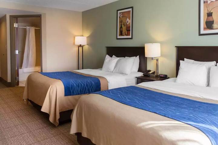 Comfort Inn Near Quantico Main Gate North Dumfries | Bookonline.com