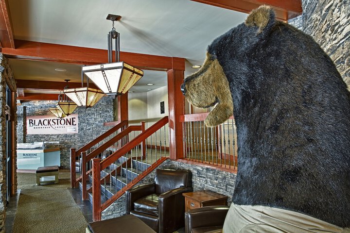 Blackstone Mountain Lodge by CLIQUE Canmore | Bookonline.com