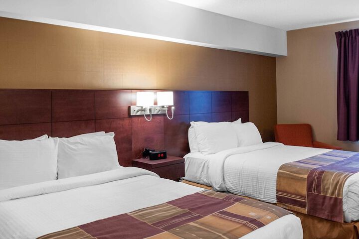 Quality Hotel & Suites Gander | Bookonline.com