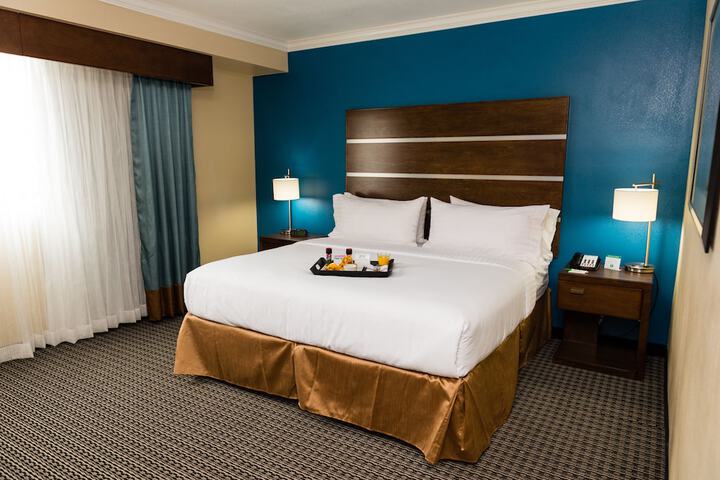 Holiday Inn Houston Downtown an IHG Hotel Houston | Bookonline.com