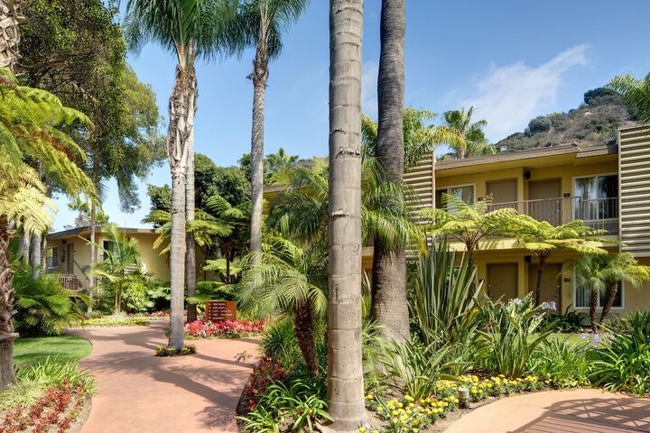 Inspiring Best Western Hotel Circle San Diego Pictures