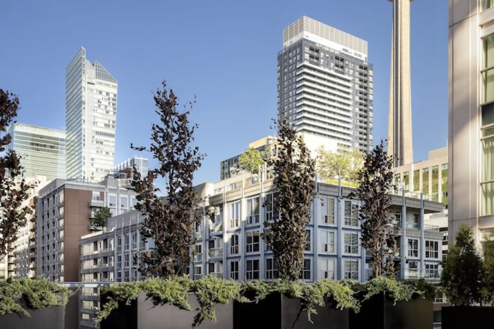 Bisha Hotel Toronto Toronto | Bookonline.com