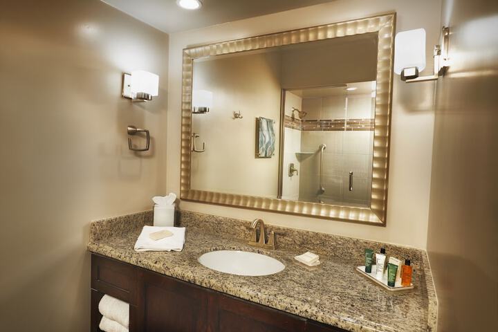 DoubleTree by Hilton Phoenix Mesa Mesa | Bookonline.com