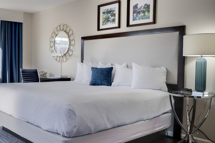 The Desoto Savannah Savannah | Bookonline.com
