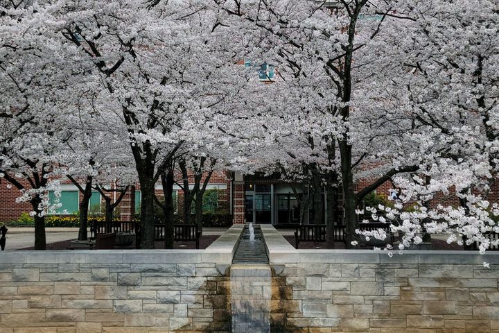 The Penn Stater Hotel and Conference Center State College | Bookonline.com