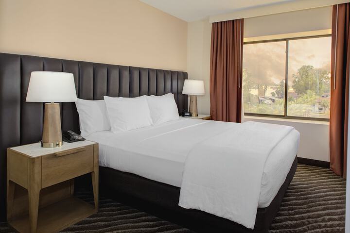 Embassy Suites by Hilton Phoenix Scottsdale Phoenix | Bookonline.com