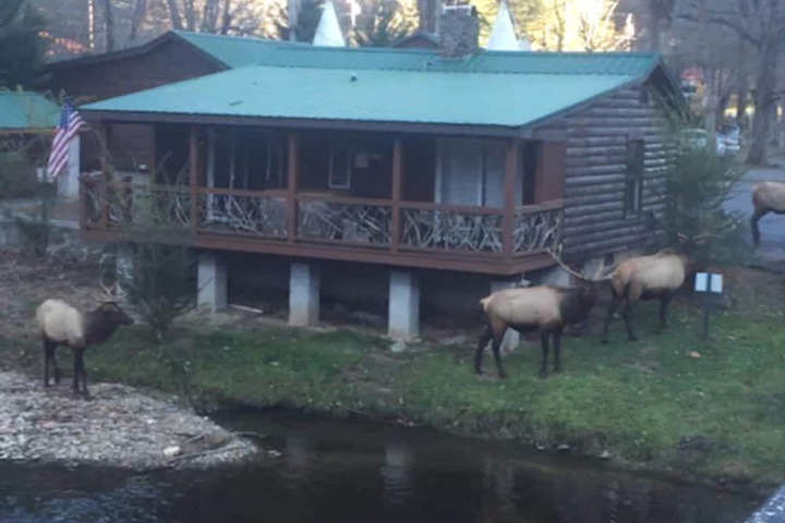 Qualla Cabins&Motel Cherokee near Casino Whittier | Bookonline.com