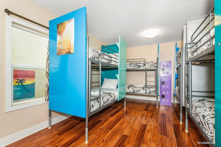 Samesun Ocean Beach Hostel San Diego | Bookonline.com