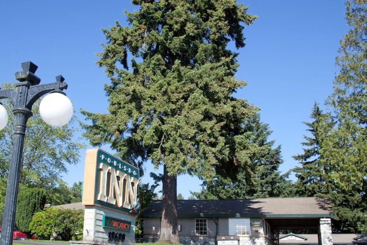 Poulsbo Inn & Suites Poulsbo | Bookonline.com