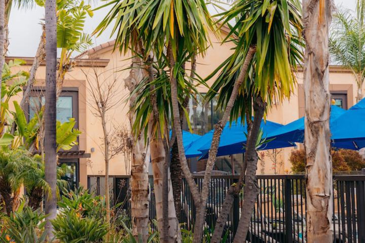 The Cove Hotel Long Beach Long Beach | Bookonline.com